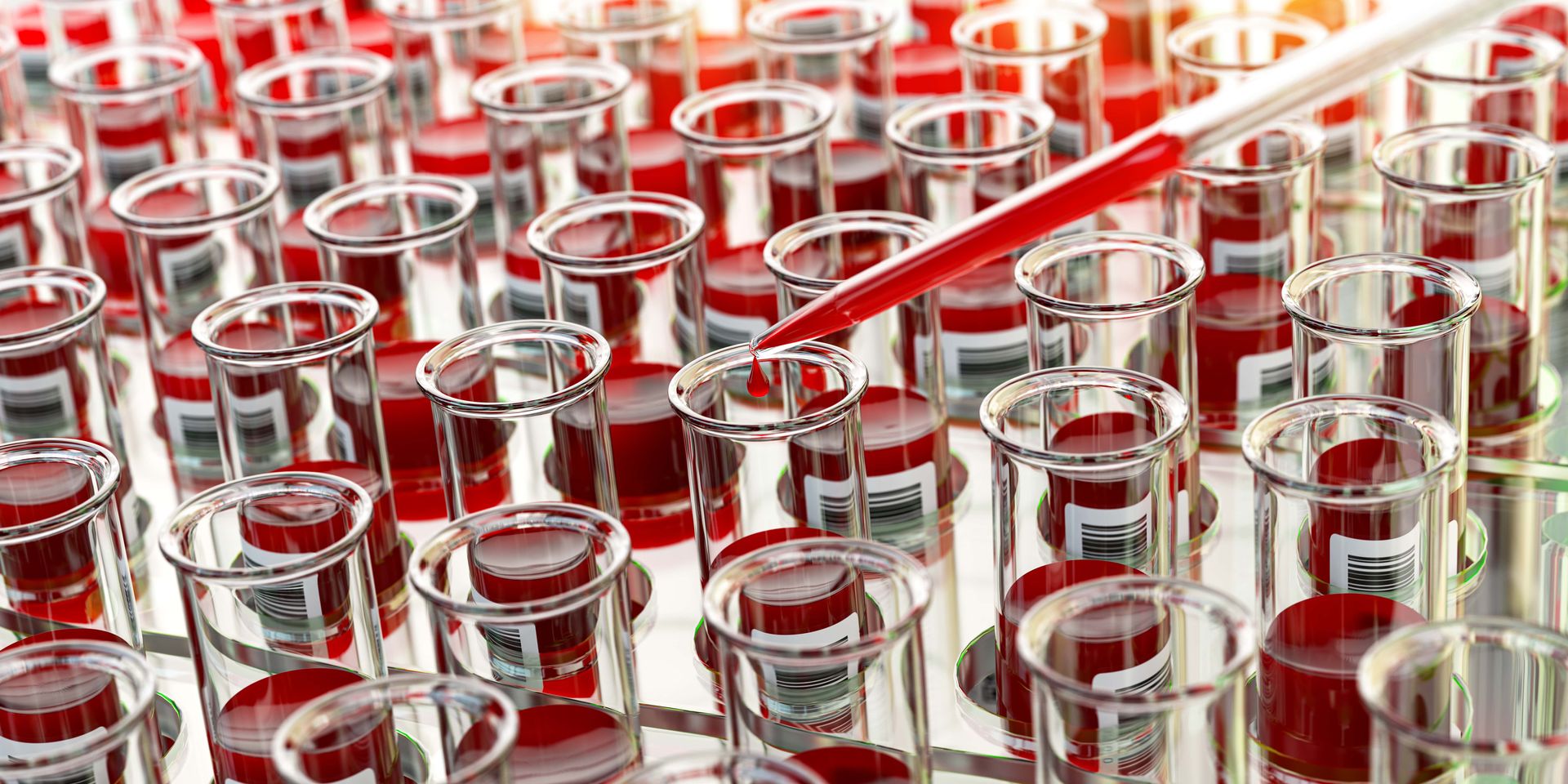 Accurate On-site Blood Chemistry Analysis with Abaxis Piccolo Xpress ...