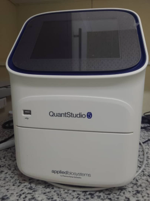 QuantStudio 5 Real Time PCR System | Block Scientific