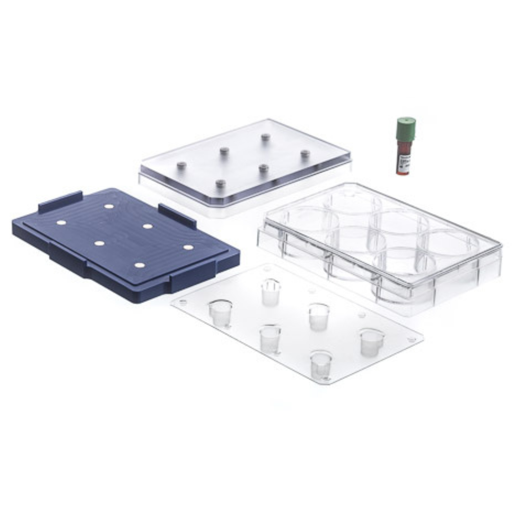 Greiner Bio-One 6-Well Bio-Assembler Kit | Block Scientific