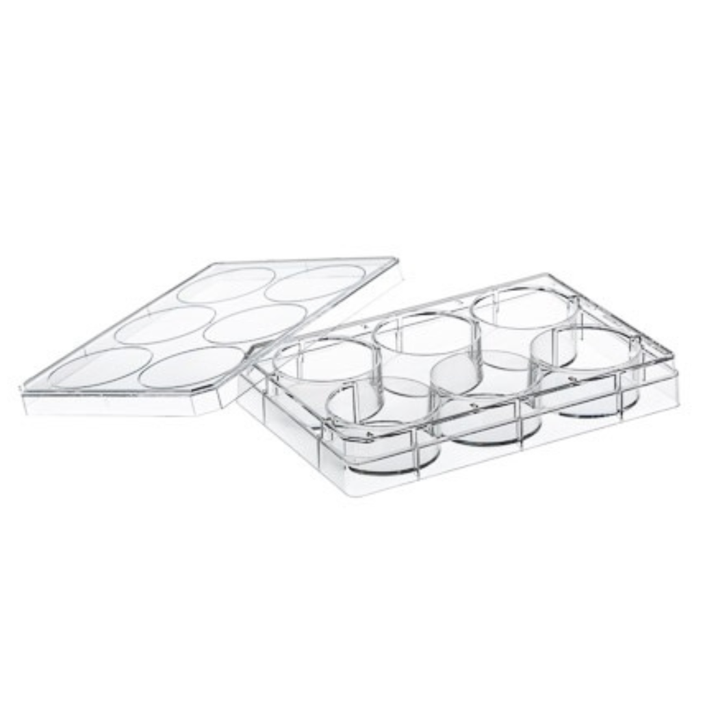 Greiner Bio-One CellCoat, 6W Plate, PS, Coated w/Poly-D-Lysine, Flat ...